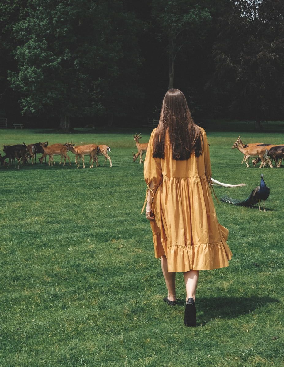 Photo by Inna Tsynder, Ekaterina Lvova, Alexandra Sayenko, Maria Guseva ...