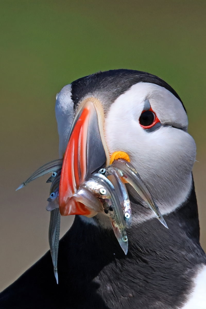 Photo by The First Magazine, Scott Duffield - Kavyar