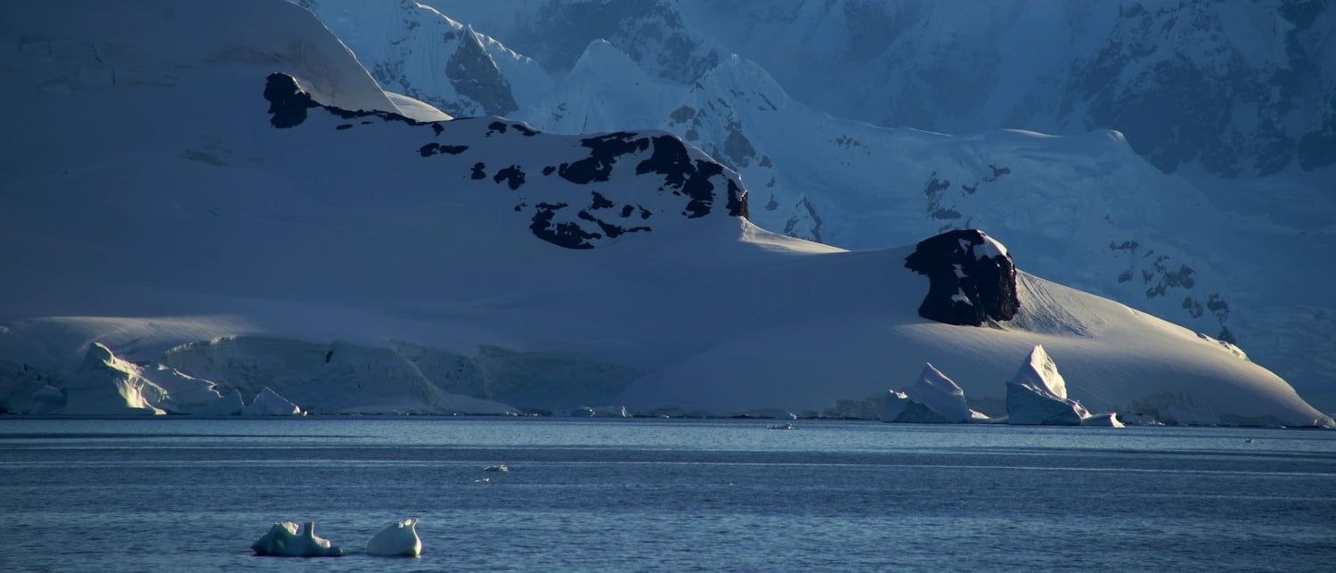 Call for Work: NATURE JANUARY 2025 - THE STYLE RESEARCHER Magazine