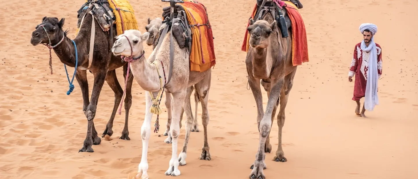 Call for Work: DOCUMENTARY MAY 2025 - THE STYLE RESEARCHER Magazine