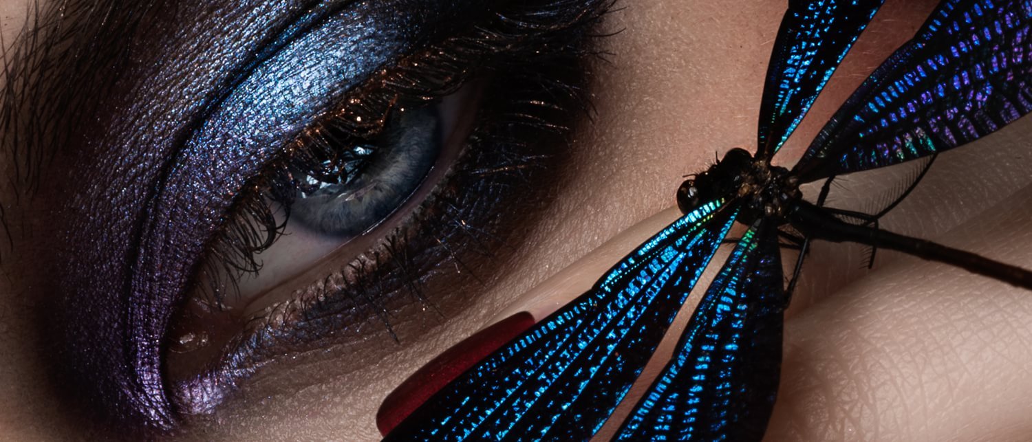 Call for Work: Insect obsession - IMIRAGEmagazine