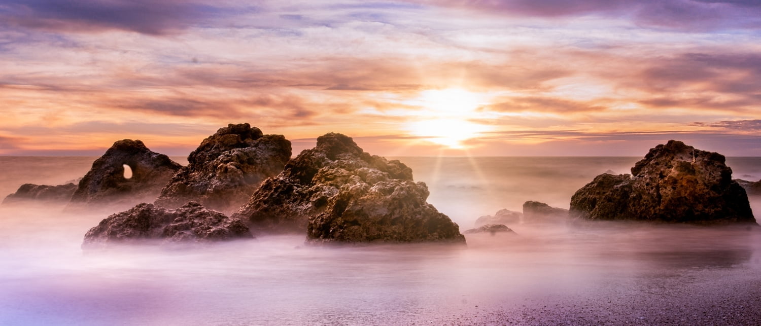 Call for Work: NATURE / January Issue - Quadro