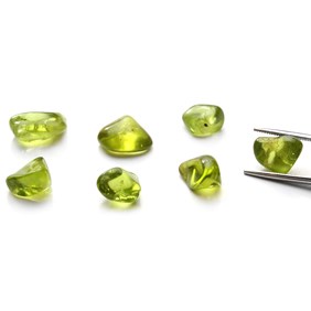 Natural Peridot Tumbled Polished Stones (Undrilled)