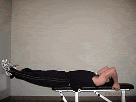 Abdominal Dragon Flags - Exercise