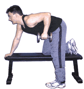 Tricep Kickbacks - Exercise