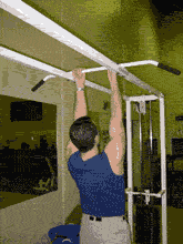 Reverse Grip Chinups - Exercise