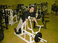 T-Bar Rows - Exercise