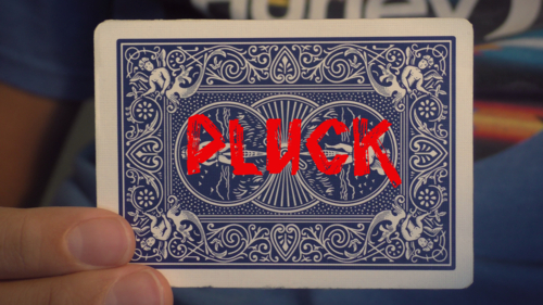 Pluck By Antonio Smith-Plata Instant Download