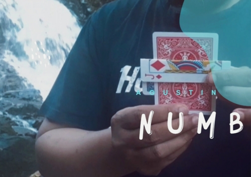 Numb by Agustin Instant Download