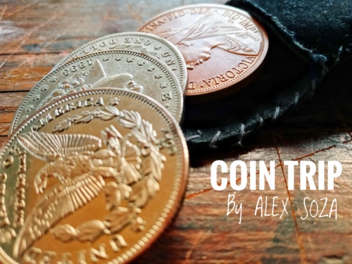 Coin Trip by Alex Soza Instant Download
