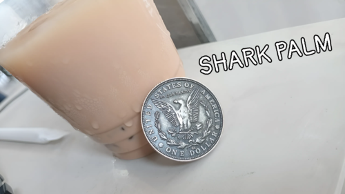 SHARK PALM by Jonh Louis and JJ Team Instant Download