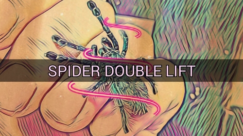 SPIDER DOUBLE LIFT by TN and JJ Team Instant Download