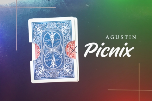 Picnix by Agustin Instant Download