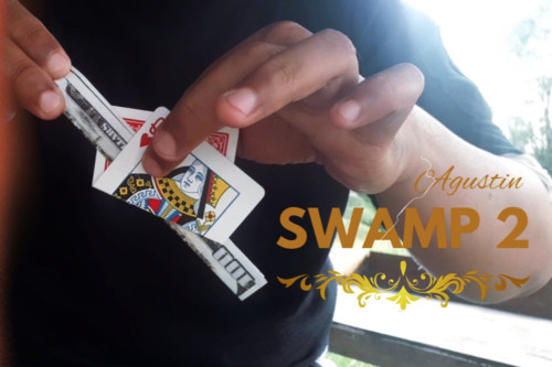 Swamp 2 by Agustin Instant Download