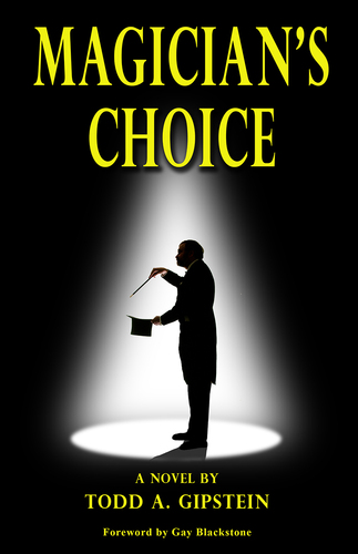 Magician's Choice by Todd Gipstein Fiction Novel