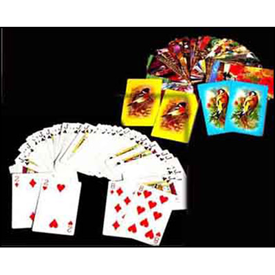 Rainbow Deck by Uday