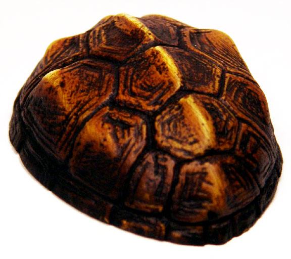 Deluxe Turtle Shells by Black Fox Brown