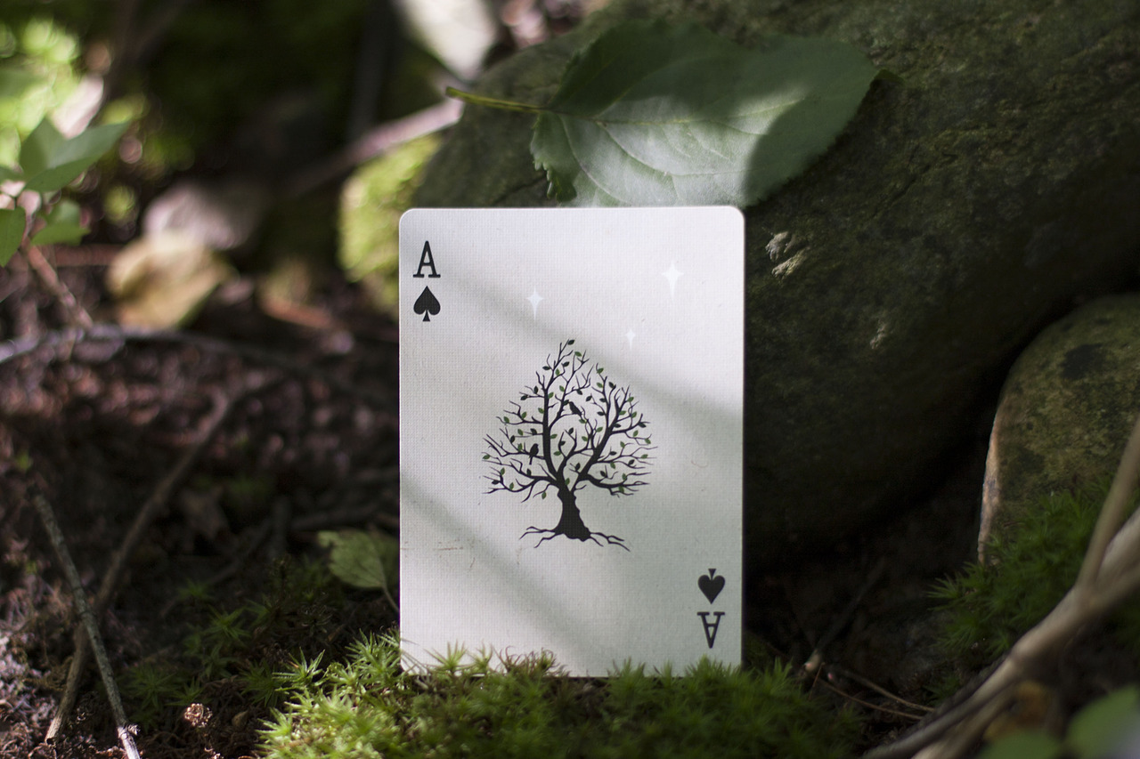 Woodlands Playing Cards Single Deck