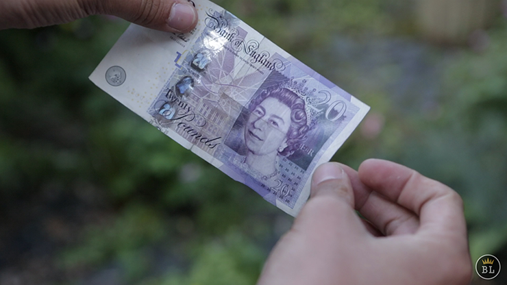 Changeling ODO (Gimmicks and Online Instructions) by Marc Lavelle and ...