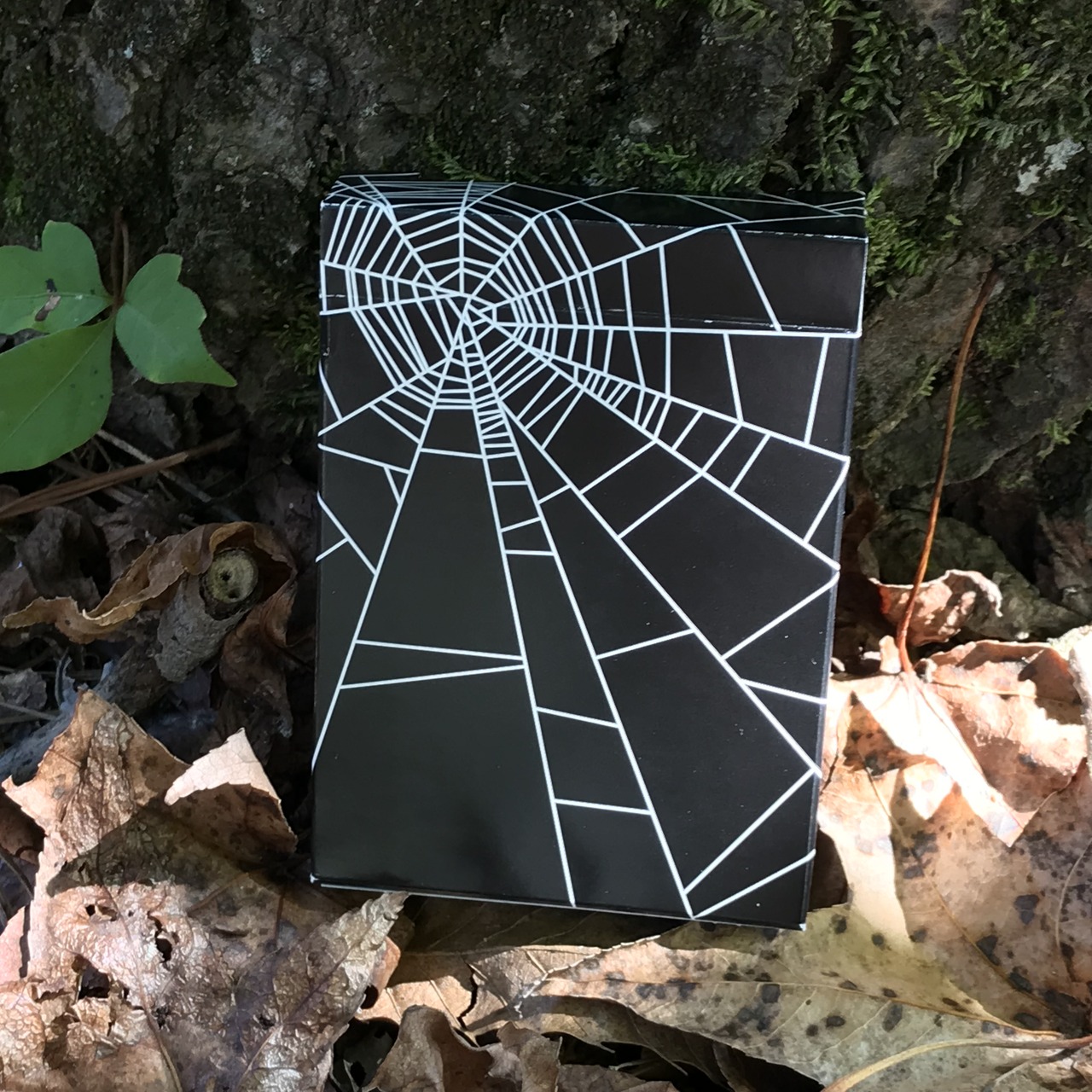 Spider Web Deck 12 Deck Brick