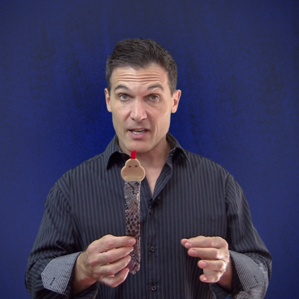 Sale Price! Psychic Shock Snake 2.0 by Tony Clark