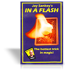 In a Flash by Jay Sankey