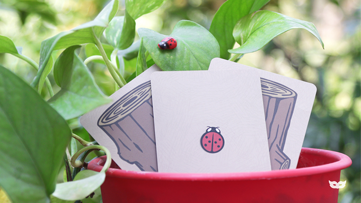 Lucky Ladybug (Gimmicks and Online Instructions) by Joshua Ray & Deuce ...