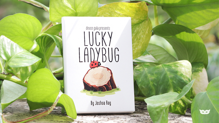 Lucky Ladybug (Gimmicks and Online Instructions) by Joshua Ray & Deuce ...
