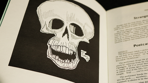 Something Strange by Tony Shiels - Book