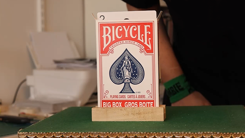 BEST EVER JUMBO RISING CARDS by Martin Schwartz