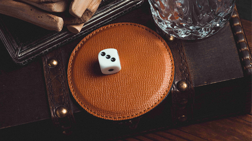 Winner's Dice Gimmicked Coaster (Gimmicks and Online Instructions) by ...