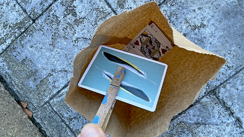 Insta Bag by Rian Lehman DRM Protected Video Download