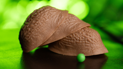 THE GAMBLER / THREE SHELL GAME (Gimmicks and Instructions) by ...