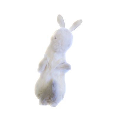 Spring Rabbit with 4 Legs by Magic Masters