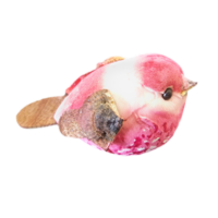 Finger Bird by Chazpro Magic