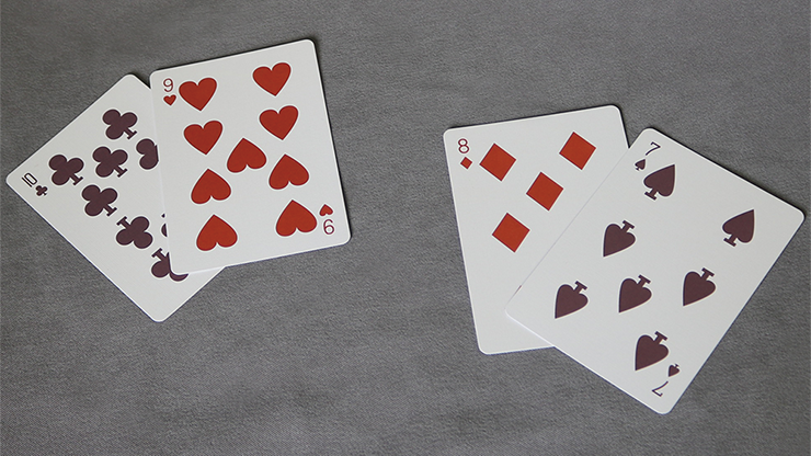 Bicycle Autumn Playing Cards by US Playing Card Co