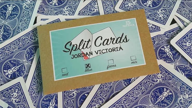 Split Cards 15 ct. (Blue) by PCTC