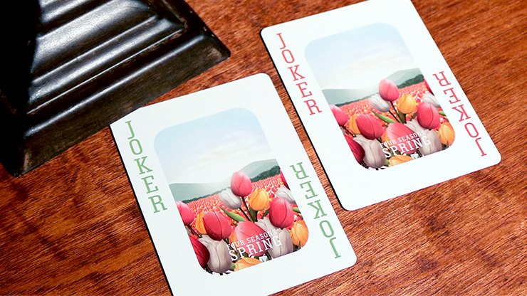 Bicycle Four Seasons Limited Edition (Spring) Playing Cards
