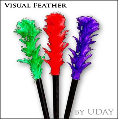 Small Visual Feather by Uday