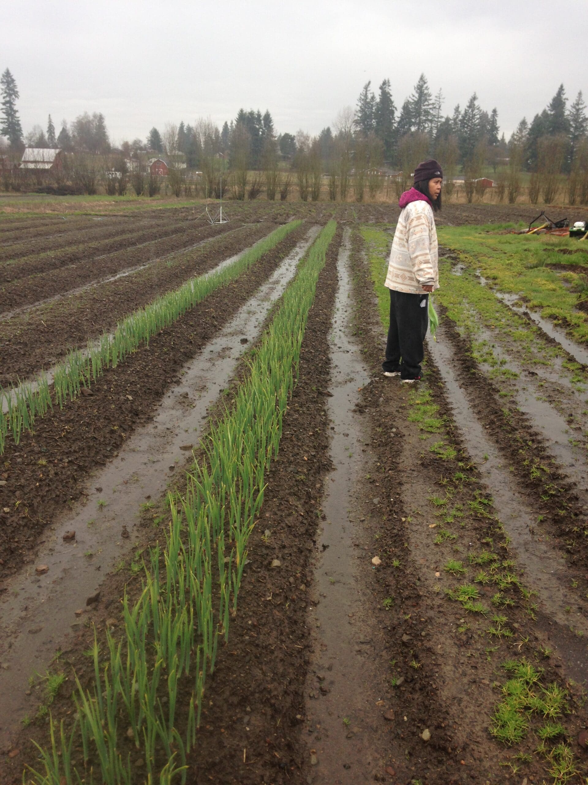 Sebastian's Farm - Pike Place Market