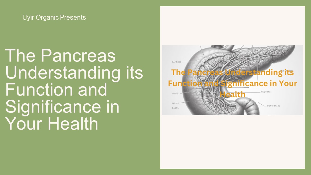 The Pancreas Understanding its Function and Significance in Your Health ...