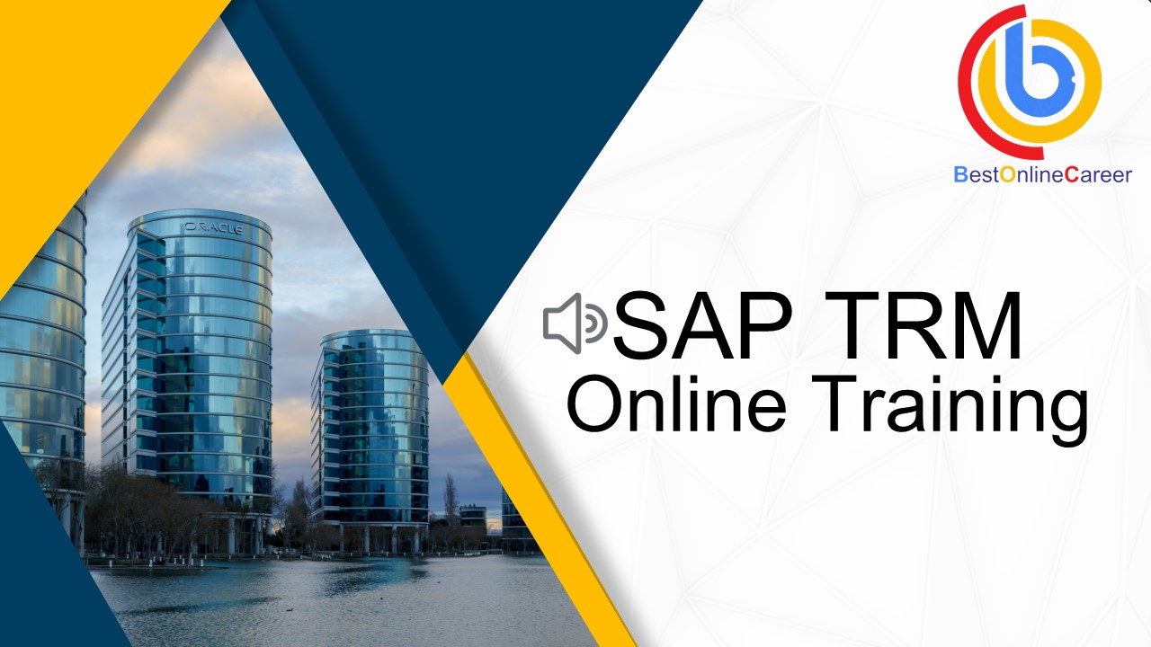 SAP TRM (Treasury and Risk Management) Online Training presentation ...