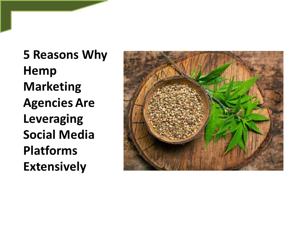 5 Reasons Why Hemp Marketing Agencies Are Leveraging Social Media ...