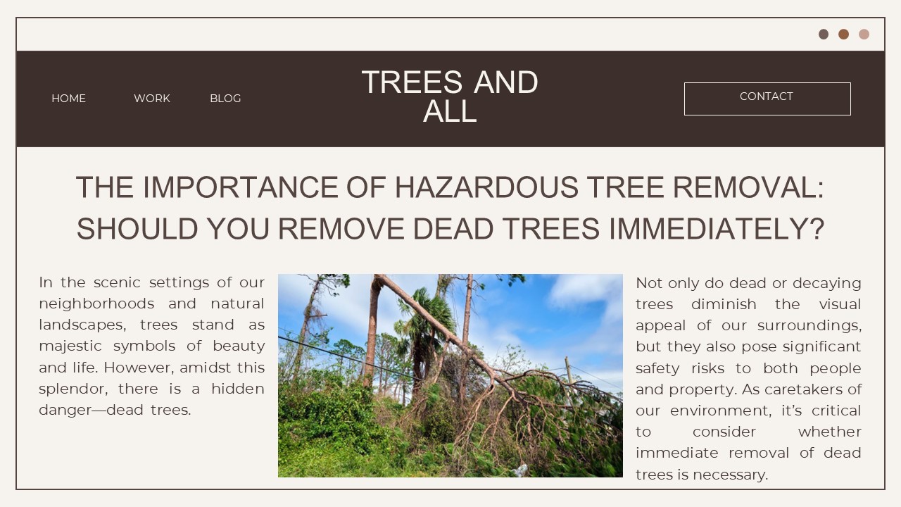 PPT – The Importance of Hazardous Tree Removal: Should You Remove Dead ...
