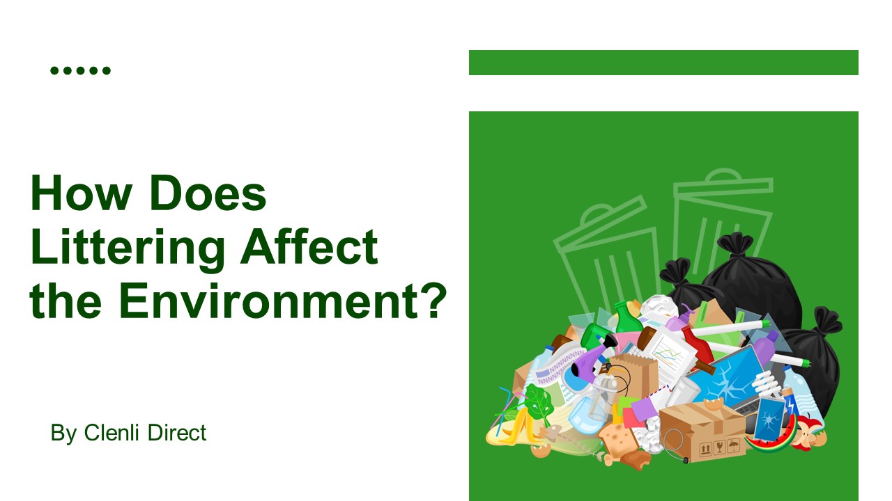 How Does Littering Affect the Environment. presentation | free to download