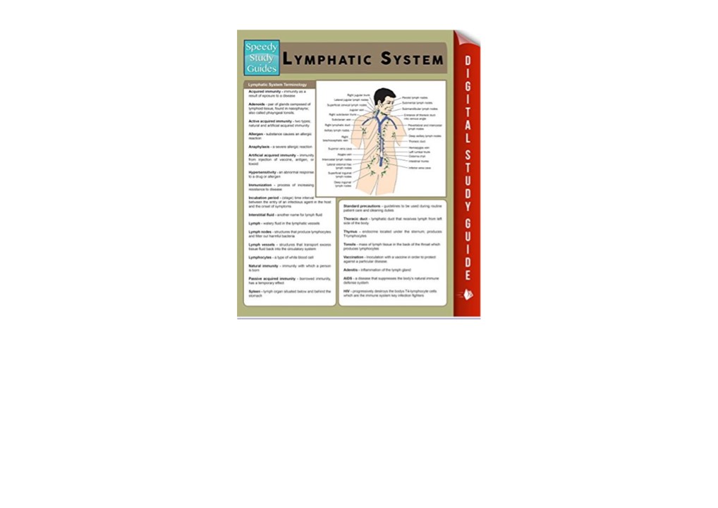 PPT – [PDF] READ⚡ Lymphatic System (Speedy Study Guides) Kindle Edition ...