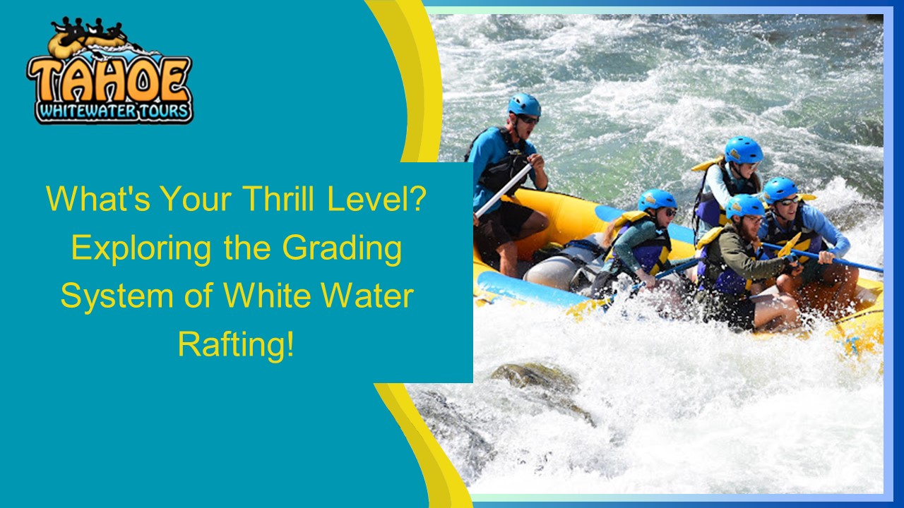 PPT – What's Your Thrill Level Exploring the Grading System of White ...