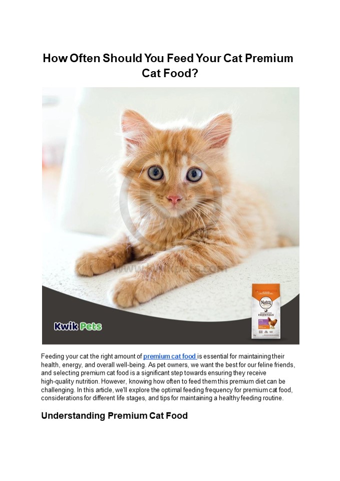How Often Should You Feed Your Cat Premium Cat Food? presentation ...