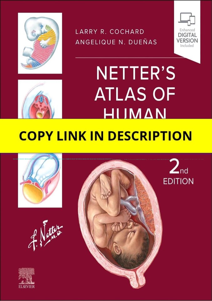 Download Netter's Atlas of Human Embryology (Netter Basic Science) Ipad ...
