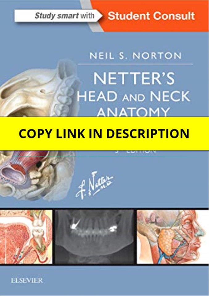 (PDF) Netter's Head and Neck Anatomy for Dentistry (Netter Basic ...